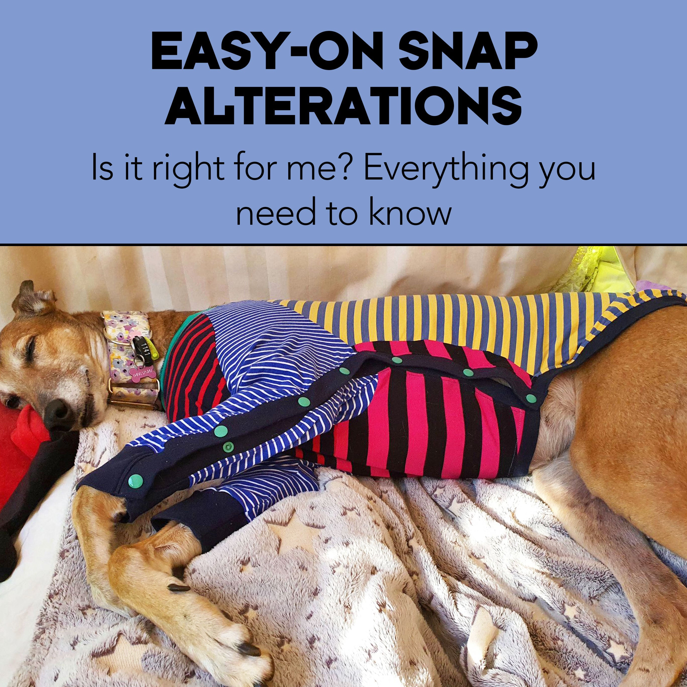 Everything you need to know about easy-on snap alterations – Hound-Tees®
