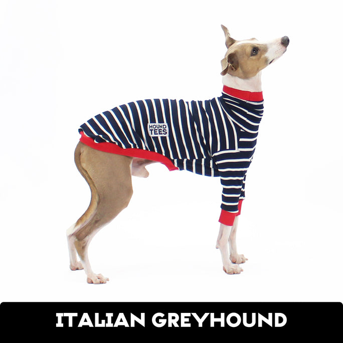 Italian Greyhound Hound-Tees – houndtees