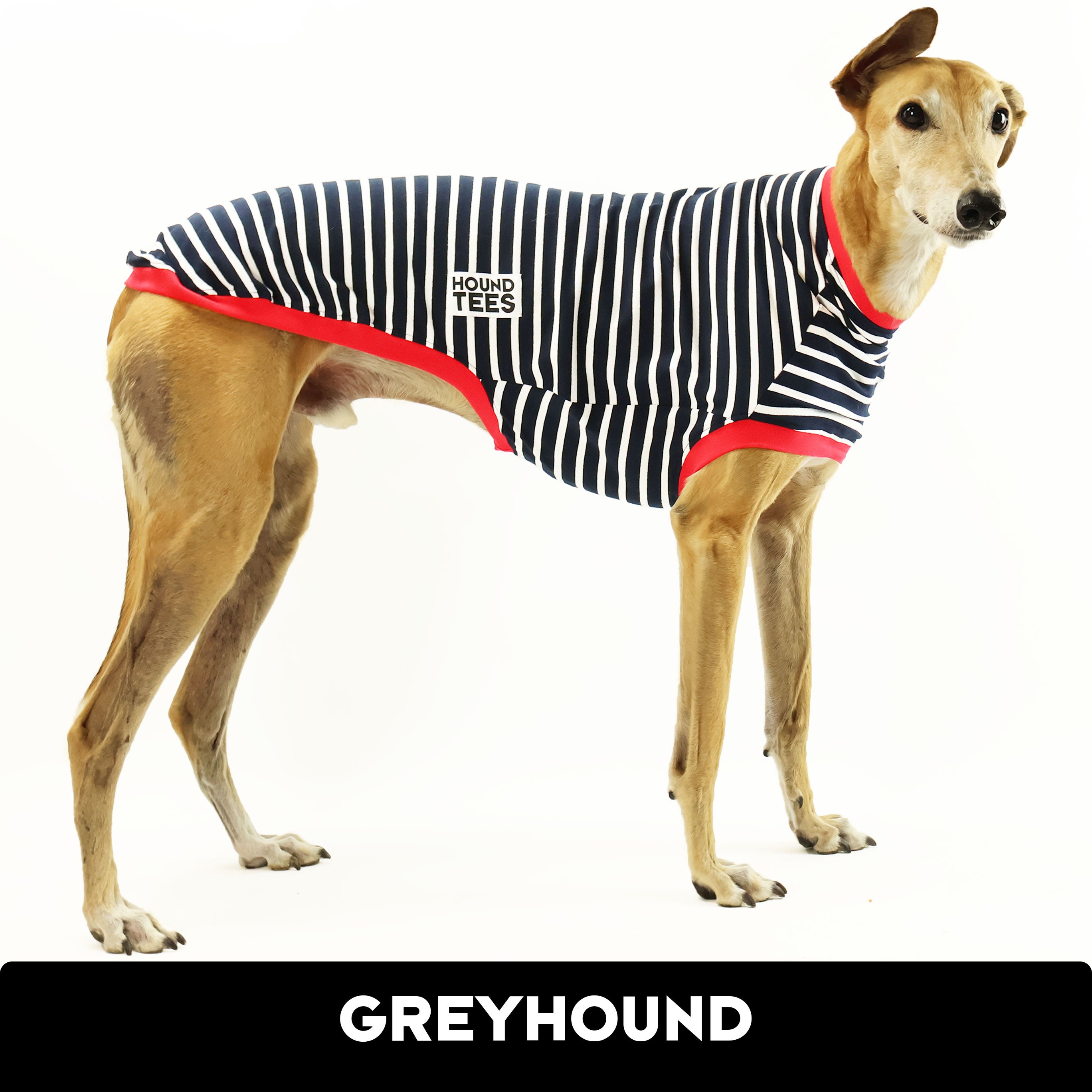 The Aussie Greyhound Sleeveless Hound-Tee – houndtees