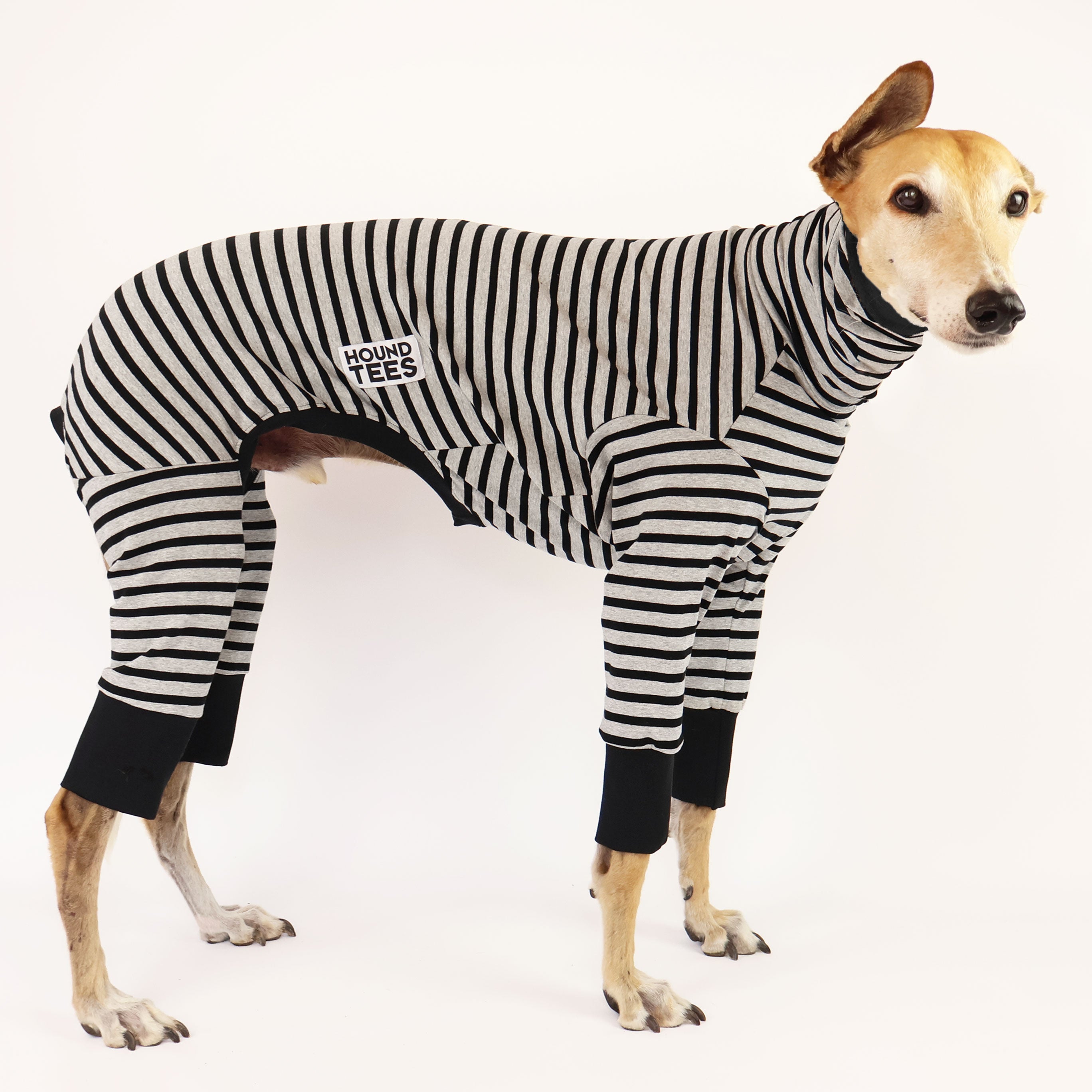 Greyhound Long Johns - Baddie | Hound-Tees – Hound-Tees®