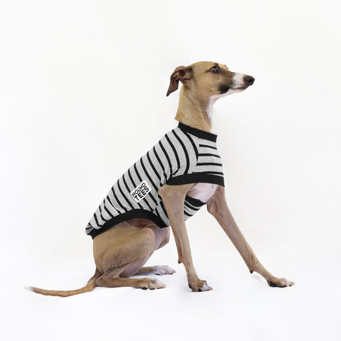 Italian Greyhound Hound-Tees – houndtees