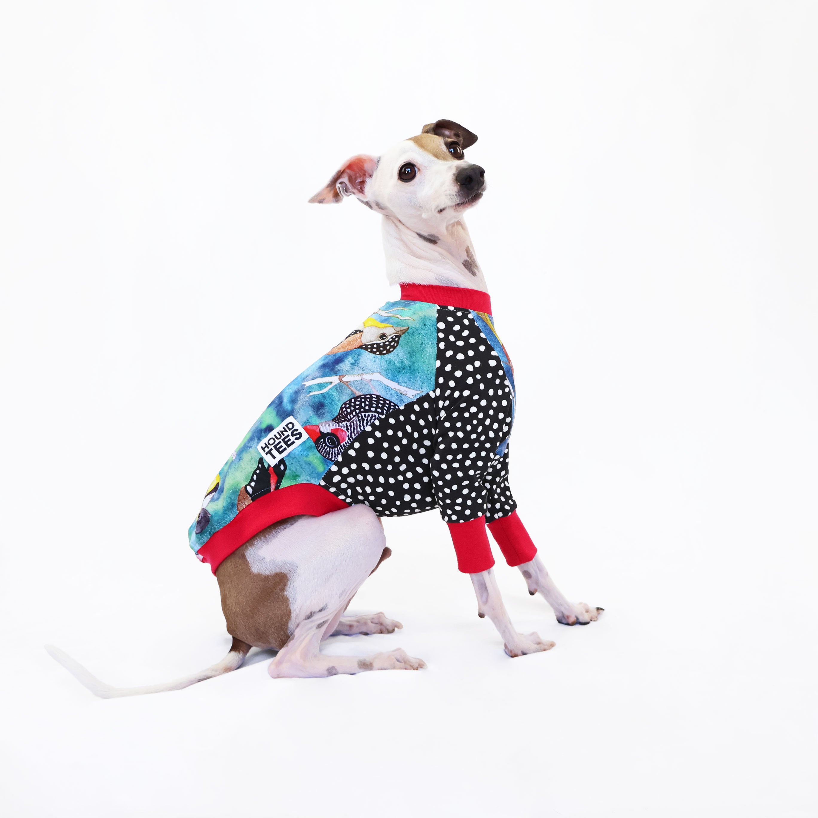 Italian Greyhound Long Sleeve T-shirt - Birds | Hound-Tees – Hound-Tees®