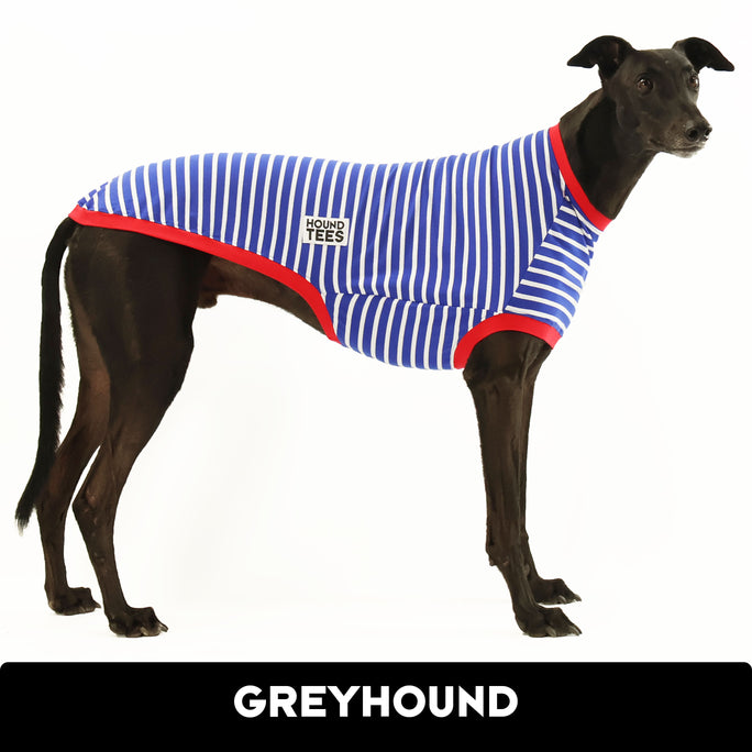 Hound-Tees for Fashion Forward Greyhounds – houndtees