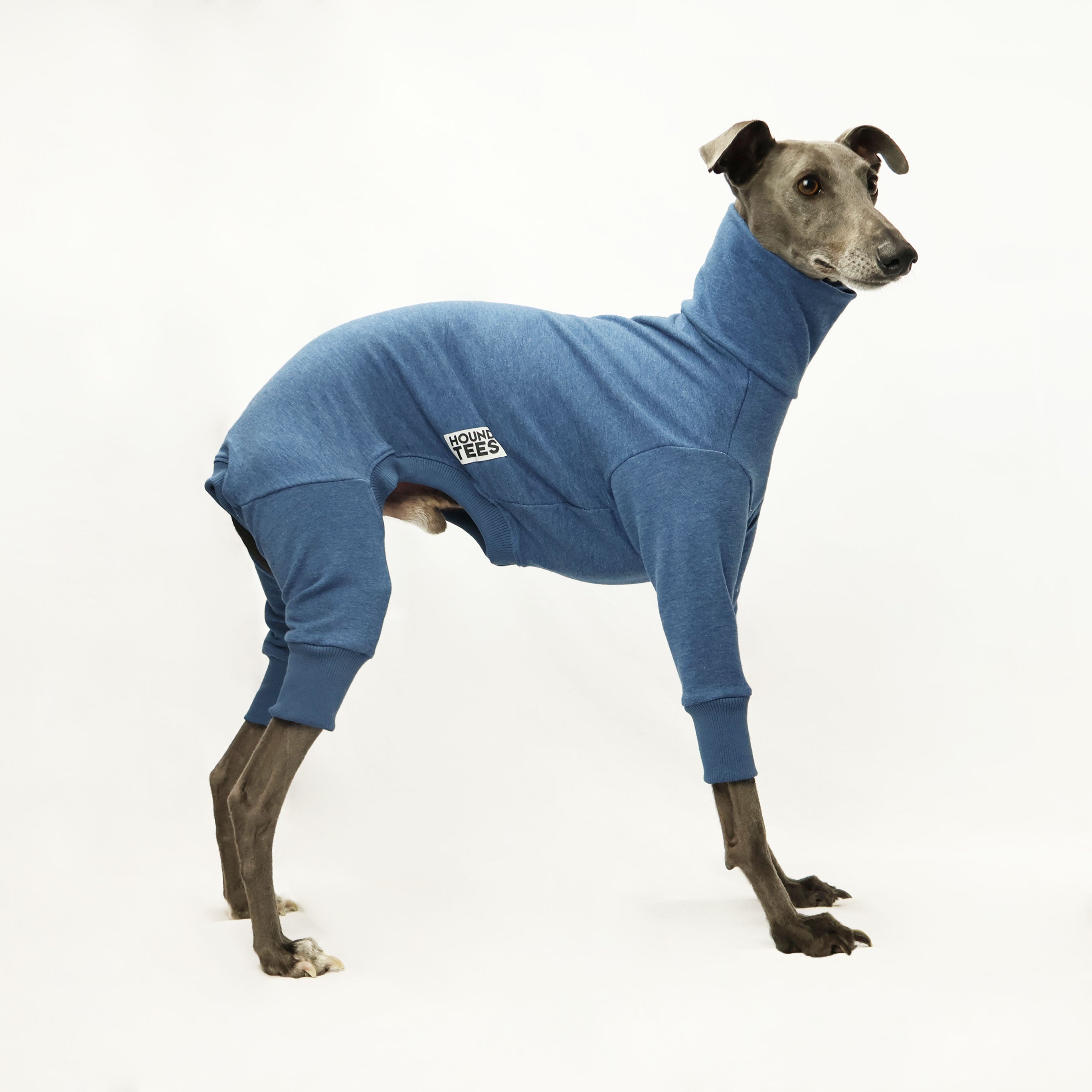 Italian Greyhound Long Johns - Blue | Hound-Tees – Hound-Tees®
