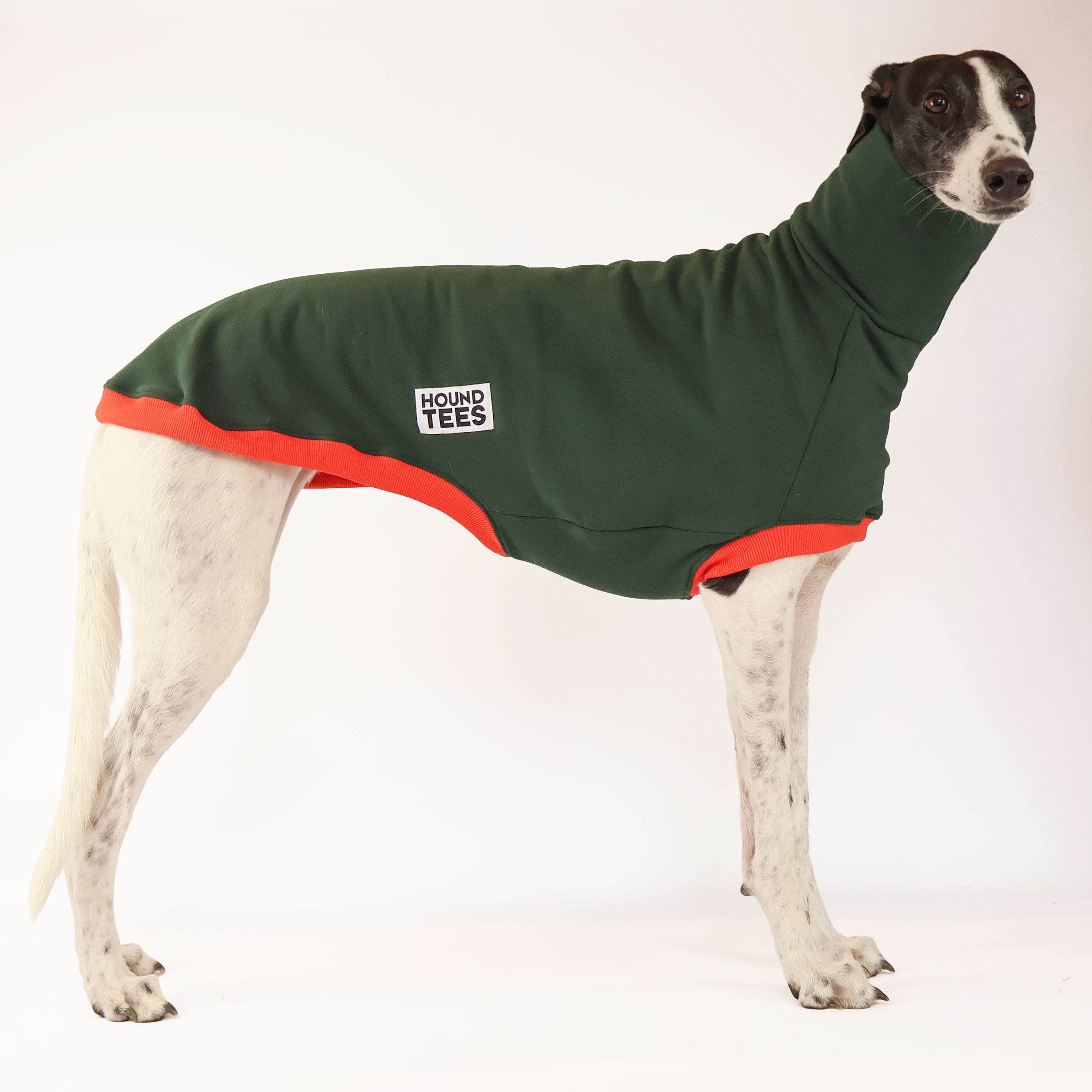 Greyhound Sleeveless Sweater - Green | Hound-Tees – Hound-Tees®