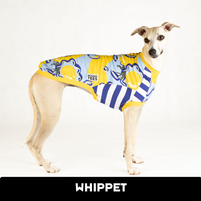 Sleeveless - Whippet – houndtees