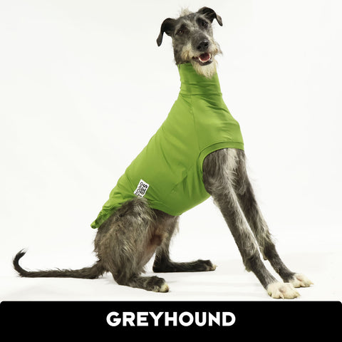 Greyhound | Greyhound Long Sleeve Sleeveless Sweater, Shirts Online ...