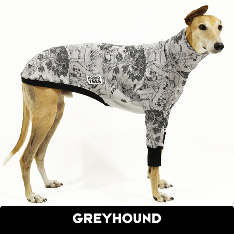 Greyhound | Greyhound Long Sleeve Sleeveless Sweater, Shirts Online ...