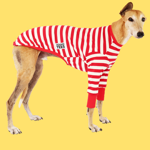 Greyhound ALL Sleeveless – Hound-Tees®