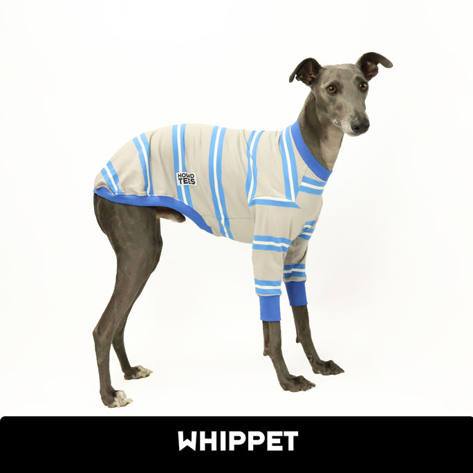 Whippet Sale – houndtees