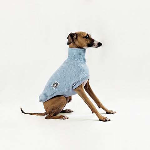 Italian Greyhound Hound-Tees – houndtees