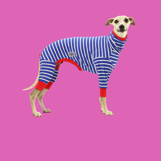 Italian Greyhound Hound-Tees – houndtees