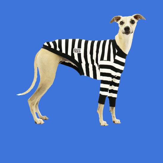 Italian Greyhound Hound-Tees – houndtees
