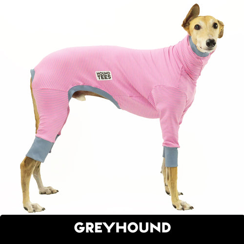 Hound-Tees for Fashion Forward Greyhounds – houndtees