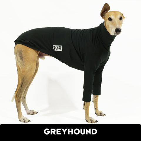 Greyhound | Greyhound Long Sleeve Sleeveless Sweater, Shirts Online ...