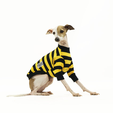 Italian Greyhound Hound-Tees – houndtees