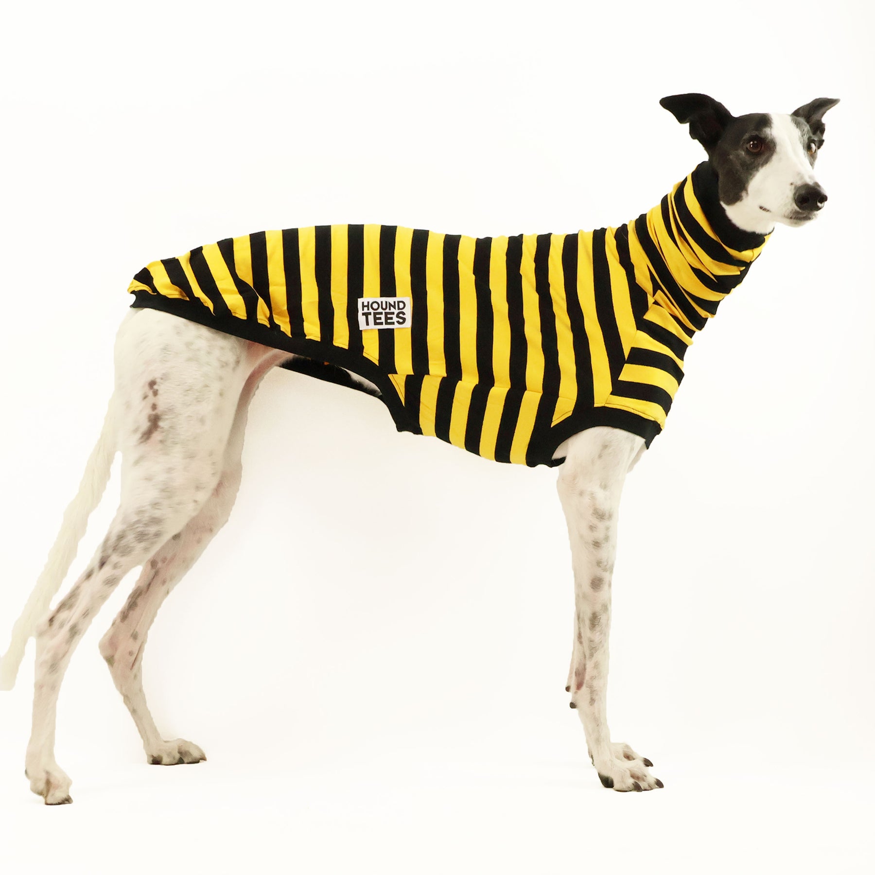 Odlaw Greyhound Sleeveless Hound-Tee – houndtees