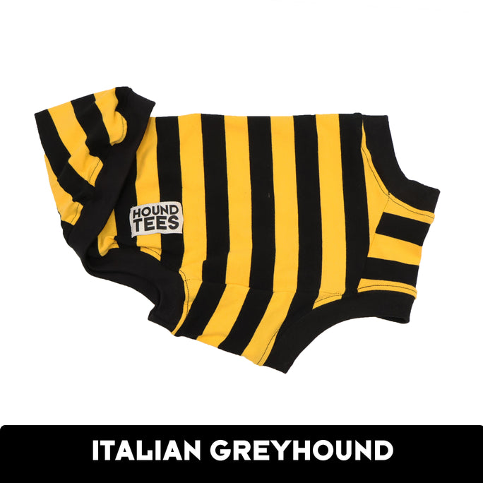 Italian Greyhound Hound-Tees – houndtees