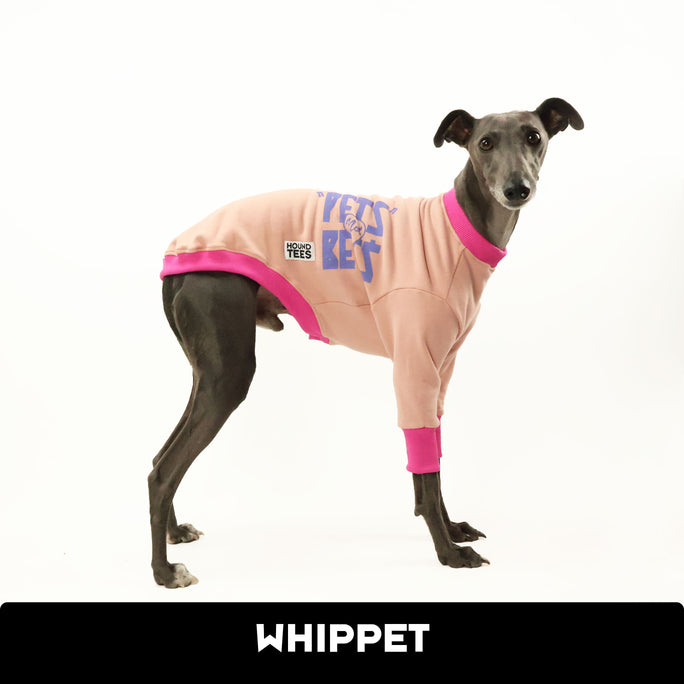 Whippet Sale – houndtees