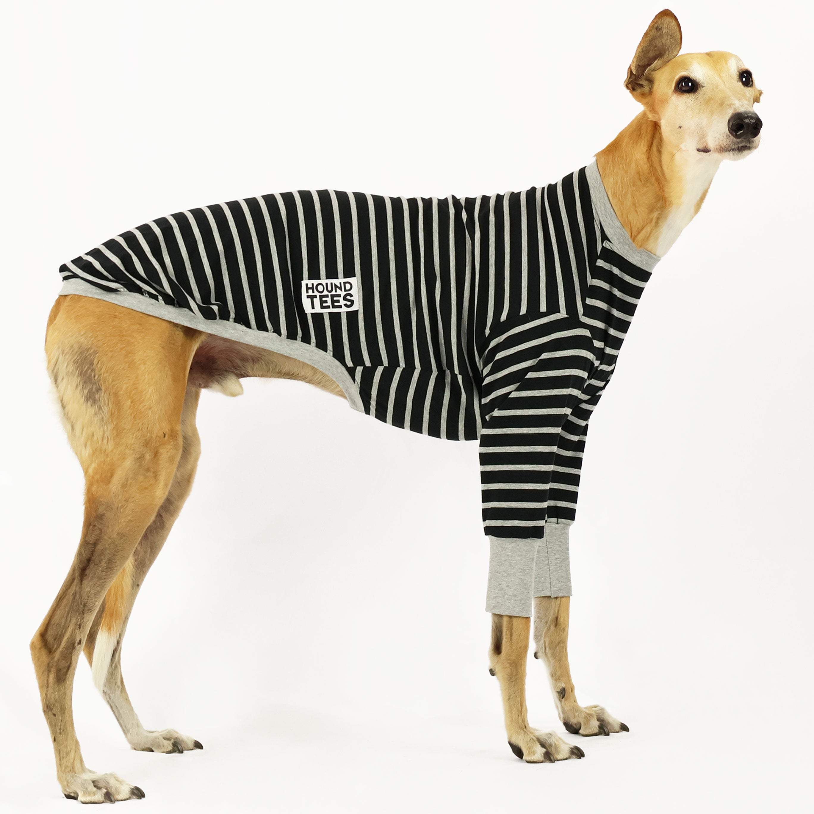 Greyhound Long Sleeve T-Shirt - Grey Rebel | Hound-Tee – Hound-Tees®