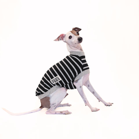 Italian Greyhound Hound-Tees – houndtees
