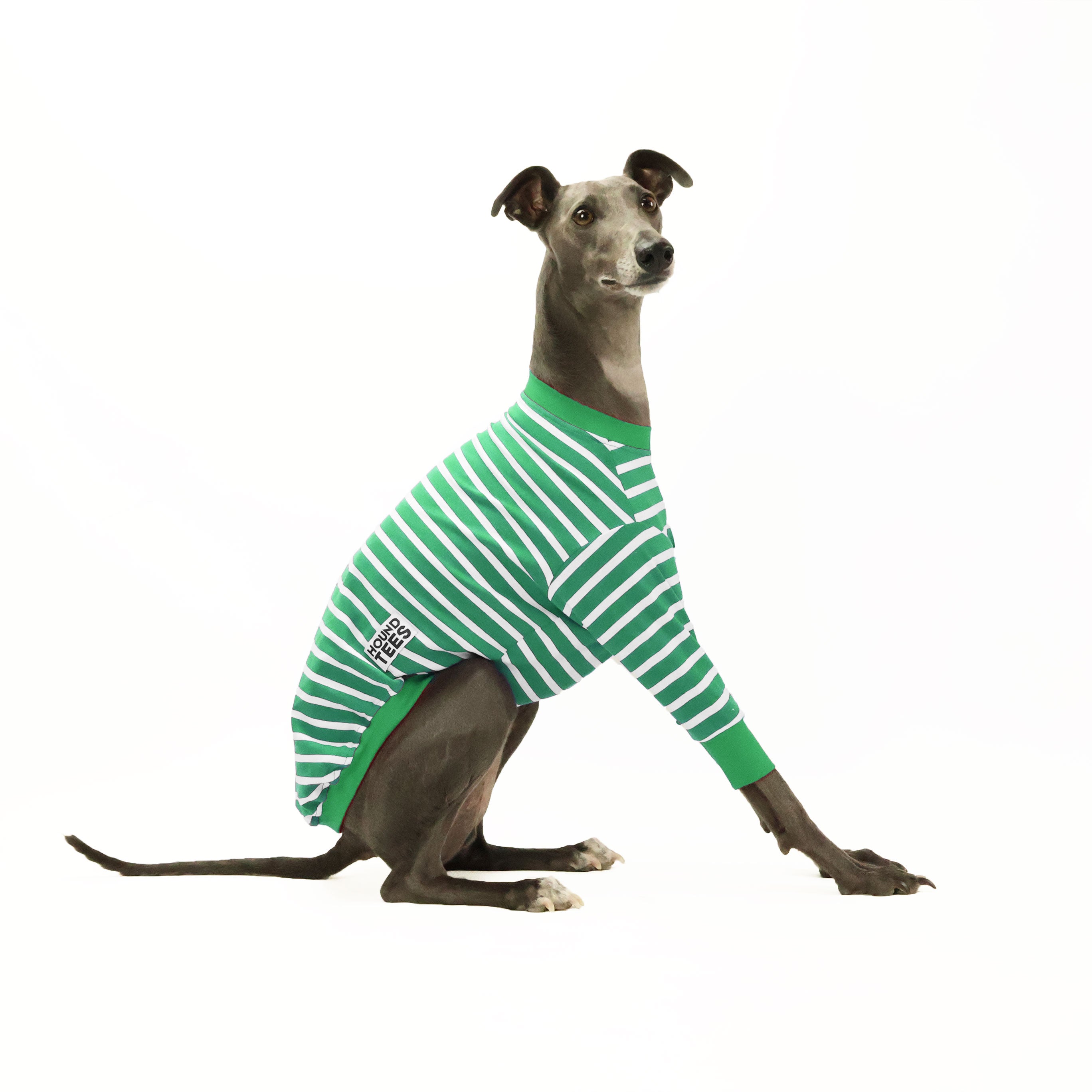 Salad Bar Whippet Long Sleeve Hound-Tee – Hound-Tees®