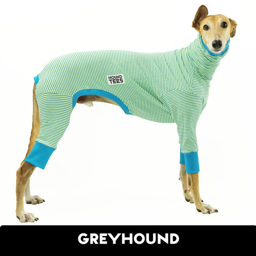 Hound-Tees for Fashion Forward Greyhounds – houndtees