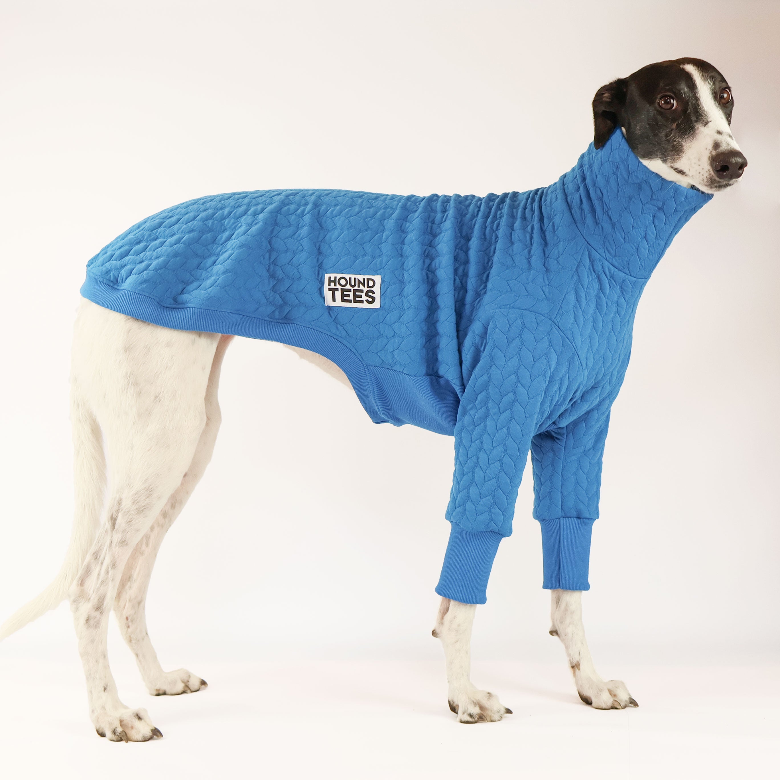 Greyhound Quilted Sweater - Turquoise | Hound-Tees – Hound-Tees®