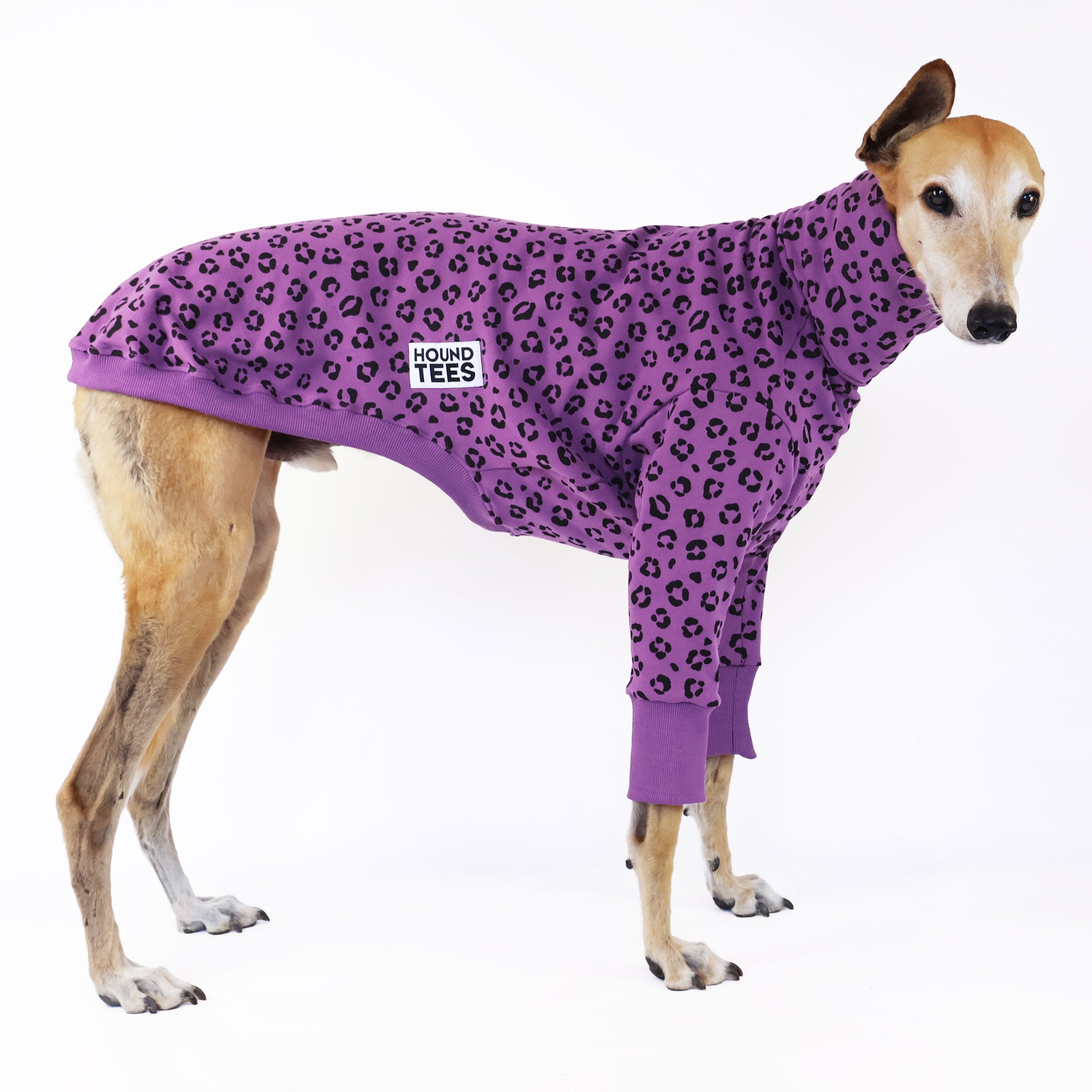 Greyhound Sweater - Purple Animal | Hound-Tees – Hound-Tees®