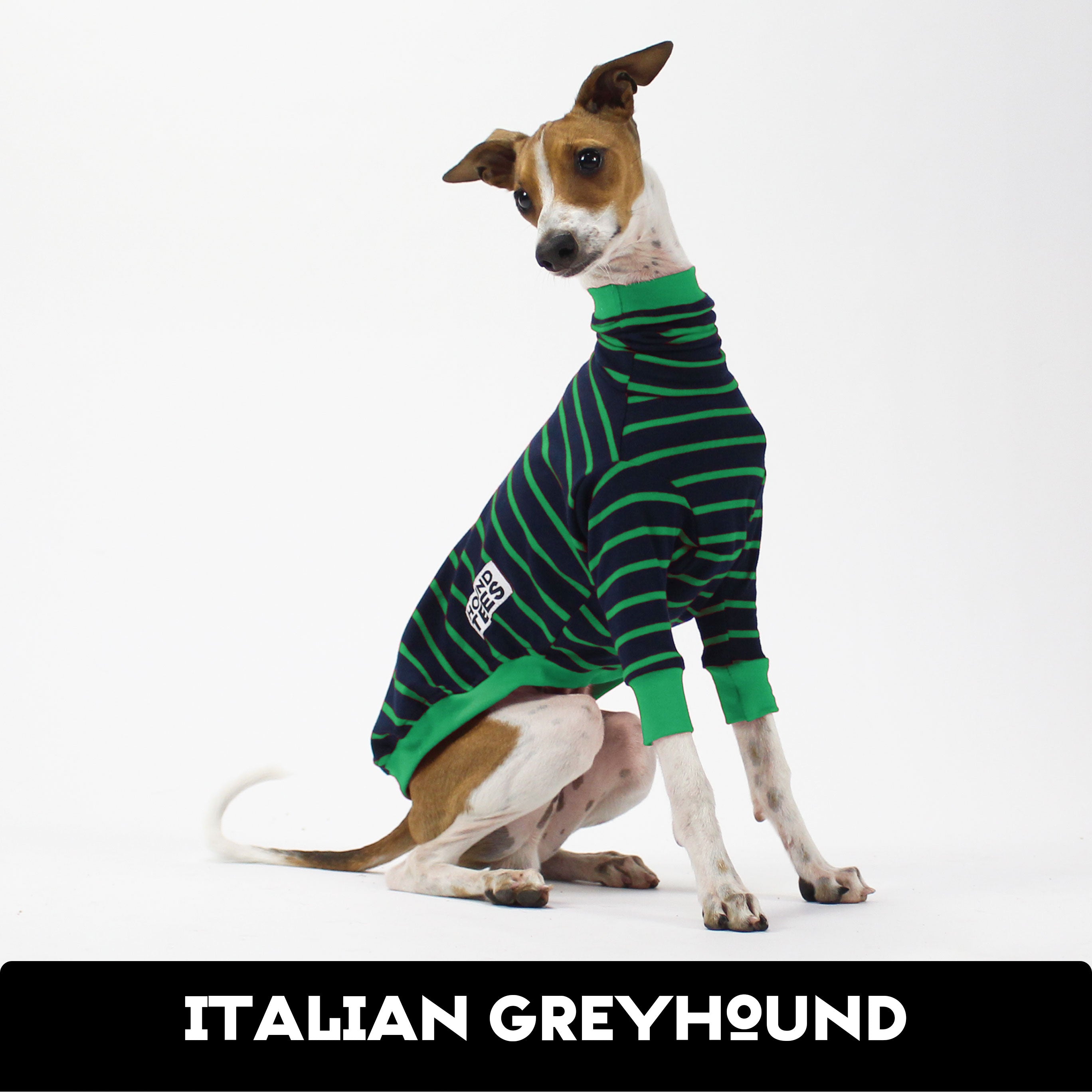 Kermit Italian Greyhound Long Sleeve Hound-Tee – houndtees