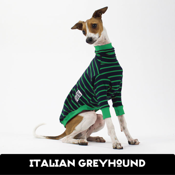 Italian Greyhound Hound-Tees – houndtees