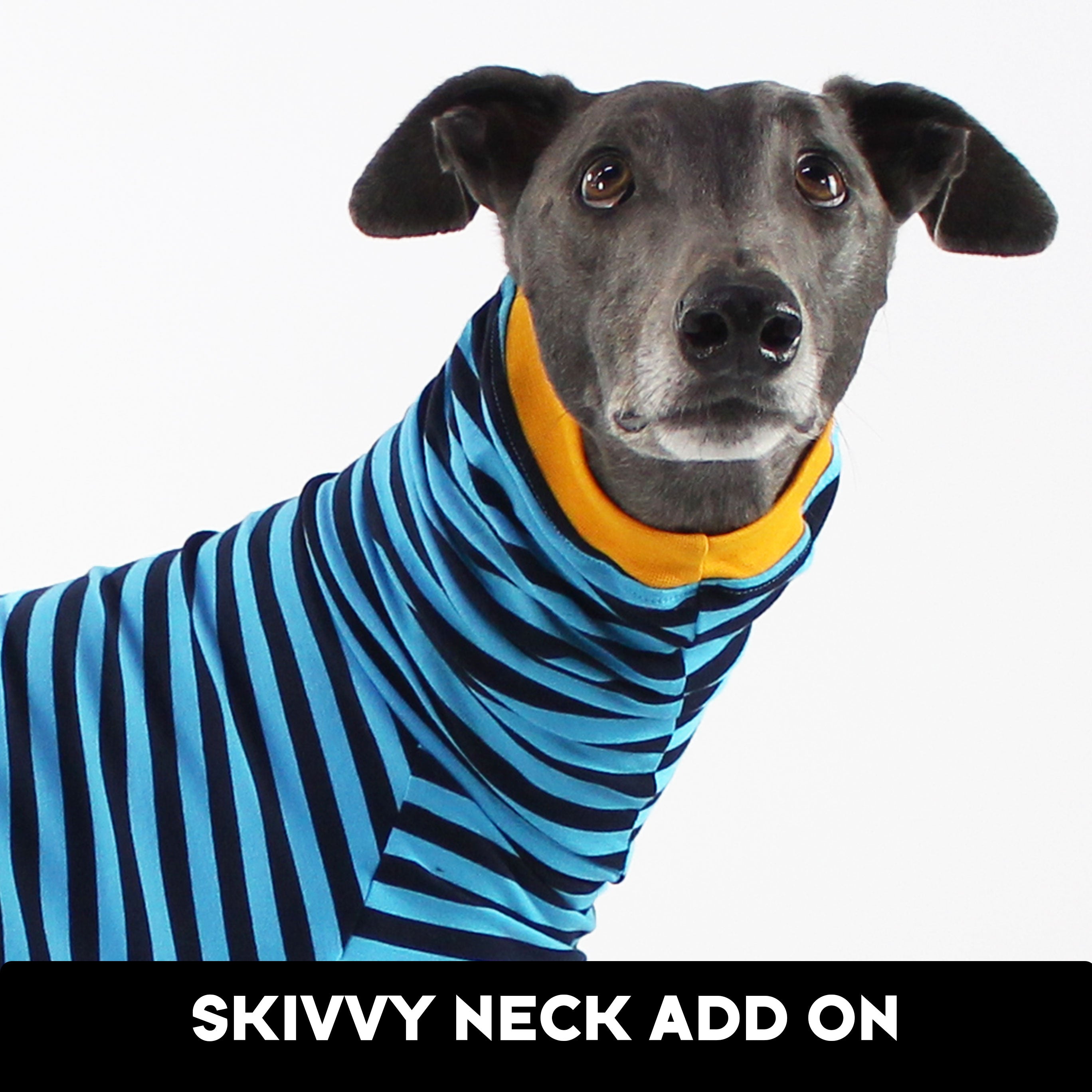 Skivvy Neck Add-On – houndtees